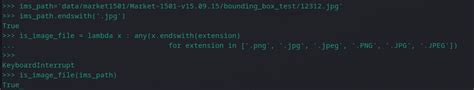 Python 判断文件后缀 Geoffreyone 博客园