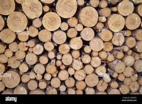 Log Wall Texture Full Frame Stock Photo Alamy