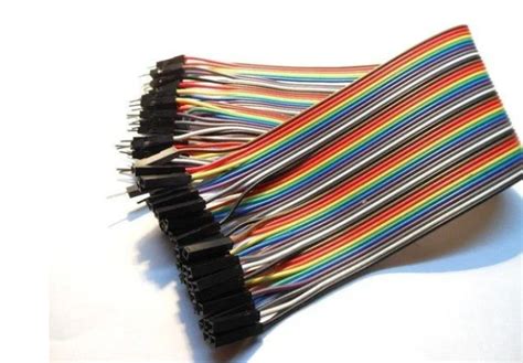 Jumpers Macho Femea 40 Unidades De 20cm Zitronica Lda