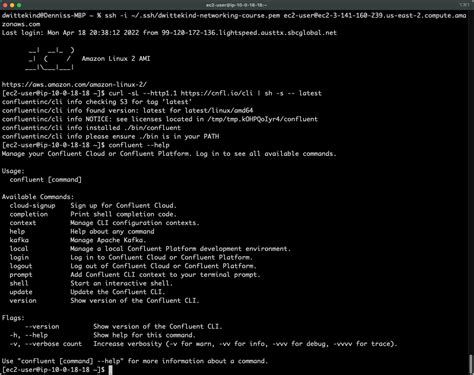 Configure A Private Link Cluster Hands On