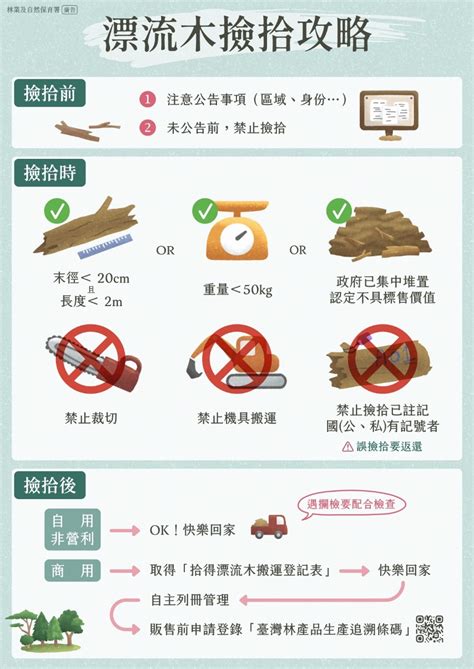 凱米颱風過後漂流木堆積 屏東縣公告開放撿拾區域 小鎮資訊屏東資訊