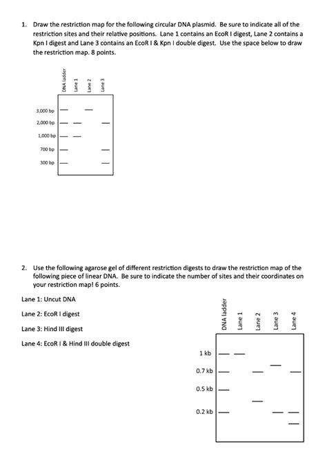 Solved Draw The Restriction Map For The Following Circular Dna Plasmid