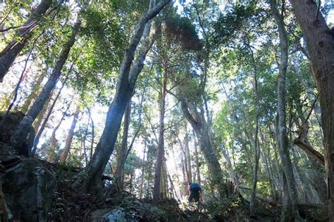 哈堪尼山步道 健行筆記