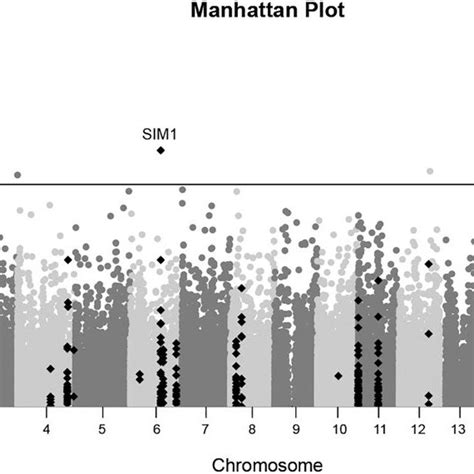 Manhattan Plot For Genome Wide P Values For The Association P Values Download Scientific