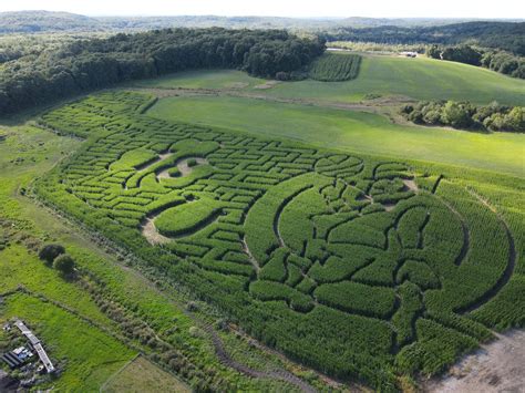 Wonka Maze