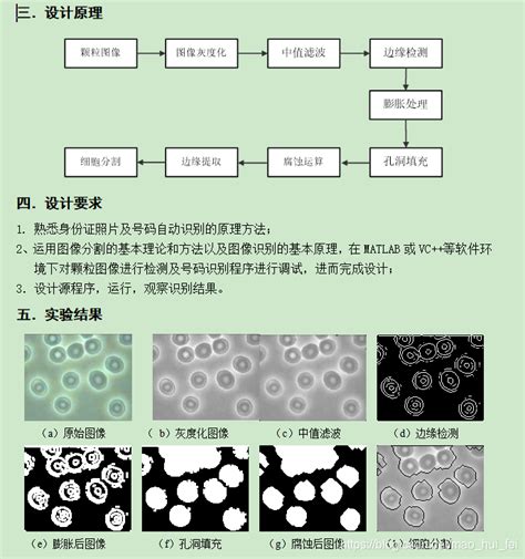 玉米颗粒计数系统 Csdn博客