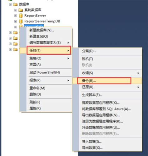 一文教你SQL Server 的数据库备份和还原的教程 数据运维技术