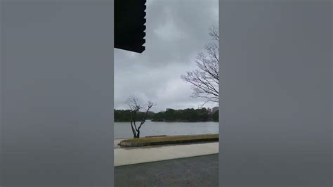 어리석은 자는 그의 마음에 이르기를 하나님이 없다 하는도다 그들은 부패하고 그 행실이 가증하니 선을 행하는자가 없도다 시편141하나님 Youtube