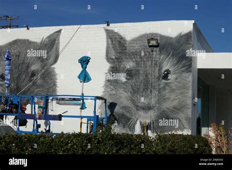 Los Angeles California Usa 15th February 2024 Street Art Mural On