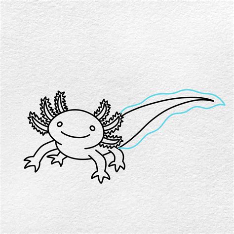 Axolotl Drawing