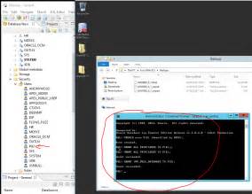 oracle11g using oracle create user command does not automatically