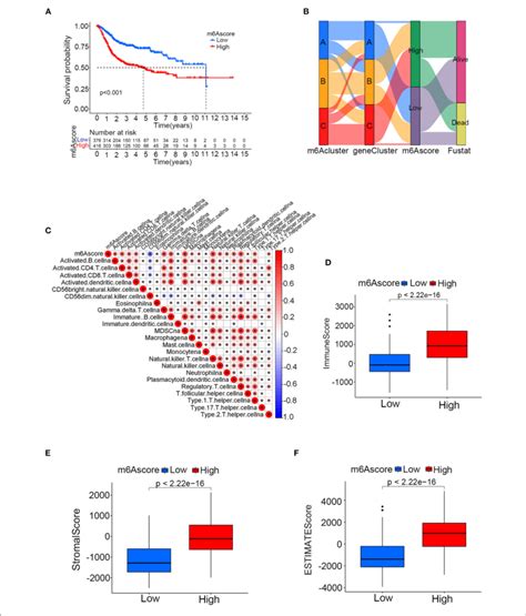 The Relationships Between The M6ascore And M6a Clusters M6a Gene