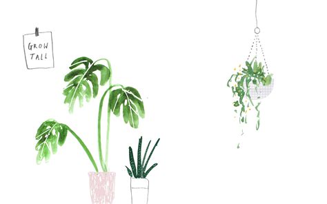 Minimalist Plant Desktop Wallpapers Top Free Minimalist Plant Desktop