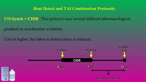 Presentation Protocols For Synchronization Of Estrus Ppt Reproductive Health Diseases And