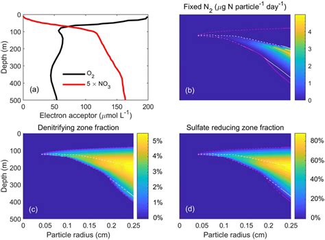 Dynamics Inside Sinking Particles Of Different Sizes In The Upper 500 M