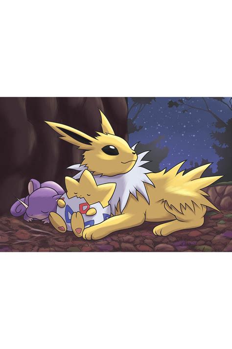 Charizard And Venusaur Pokemon Poster Qualitypatch