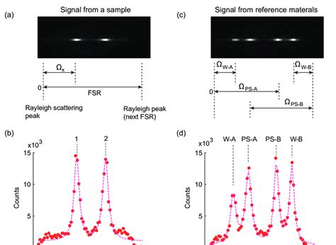 Fig S3 Spectrometer Frequency Calibration A Emccd Recording Of A Download Scientific