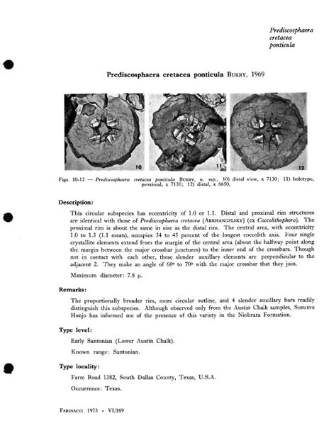 Prediscosphaera Cretacea Ponticula
