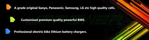 Upp Triangle Battery 36v 48v 52v 20ah 28ah 315ah Ebike Battery With S