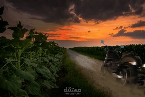 دمج صور بطريقة احترافية مستقل