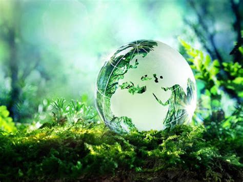 11 клас Біосфера