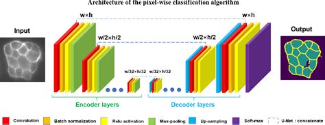 Figure 1 From Learn To Segment Single Cells With Deep Distance Estimator And Deep Cell Detector