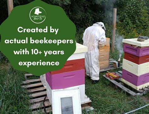 Hive Check Checklist Inspection Log For Beekeepers Downloadable Pdf Etsy