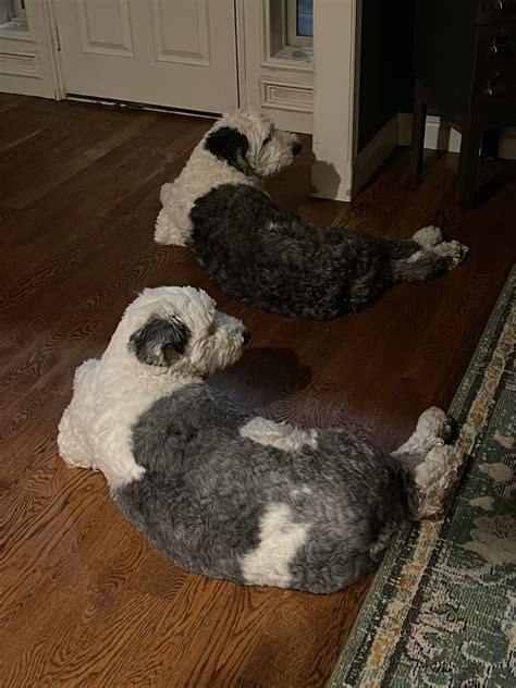 There Hasnt Been A Lot To Share From The Synchronized Sleepers Lately