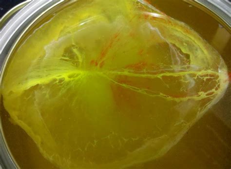 921 Best Bubble Boy Images On Pholder Trailerparkboys Seinfeld And