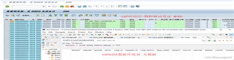 【sap Hana】sap S4 Hana 数据库底表查询及运维管理sap S4底表 Csdn博客
