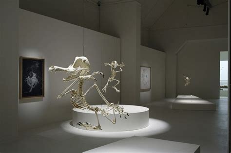 Animatus Realistic Skeletons Of Famous Cartoon Characters By Hyungkoo Lee Animatus An