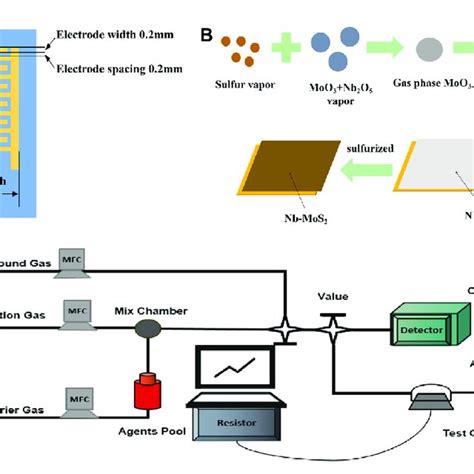 Athe Geometry Of The Electrodes Of The Sensor B The Process Of Athe Geometry Of The Electrodes Of The Sensor B The Process Of