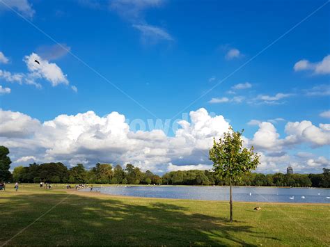 공원 배경화면 화창한 휴식 자연 사진이미지일러스트캘리그라피 Nlind1108작가