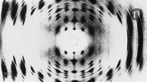 Four New Dna Letters Double Lifes Alphabet Synthetic Dna Seems To