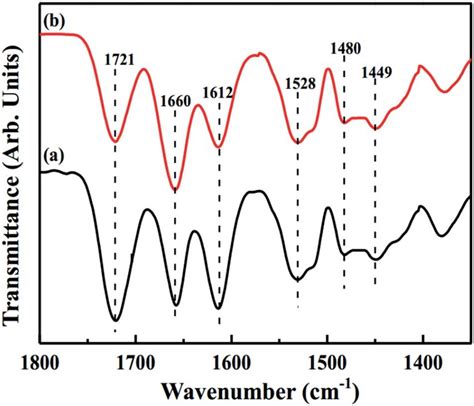 The Expanded View Atr Ftir Spectra In A Wavenumber Range Of 1800 1350