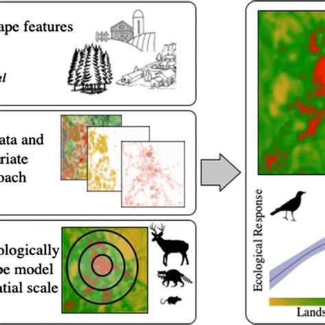 The Three Step Framework For Urban Gradient Definition Incorporating