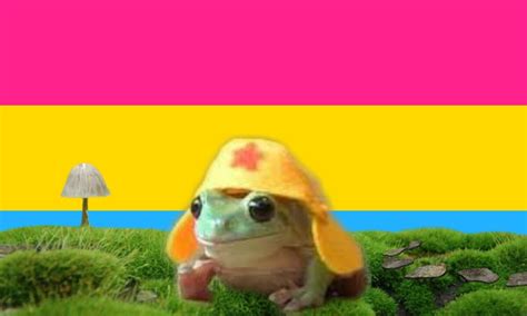 Pansexual Frog Wallpapers Wallpaper Cave
