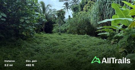 Faanui Marae Leeward Islands French Polynesia 11 Reviews Map