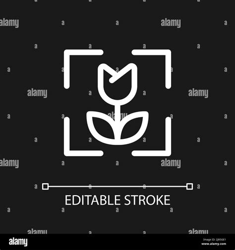 Macro Photo Mode Pixel Perfect White Linear Ui Icon For Dark Theme Stock Vector Image And Art Alamy