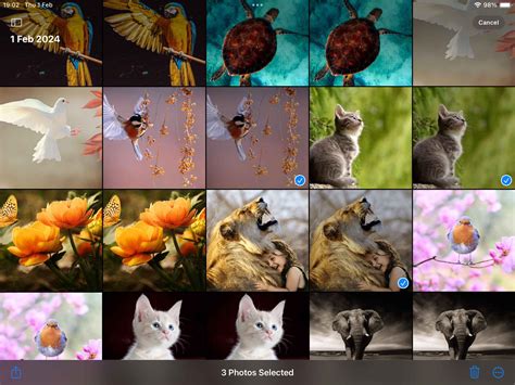 How To Delete Duplicate Photos On IPad Methods