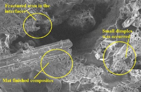 Fracture Surfaces On The Polymer Composites Download Scientific Diagram