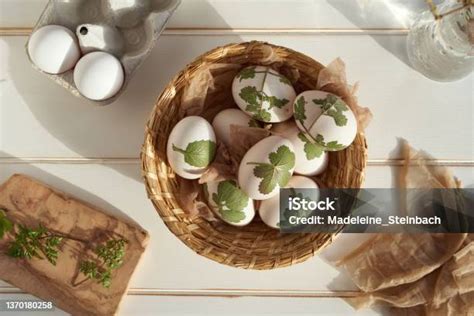 신선한 식물의 패턴으로 양파 껍질로 염색 할 준비 부활절 달걀 갈색에 대한 스톡 사진 및 기타 이미지 갈색 계절 공예 Istock