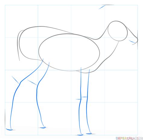 How To Draw A Fawn Step By Step Drawing Tutorials