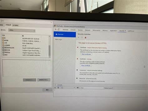 Chrome中使用自签名证书