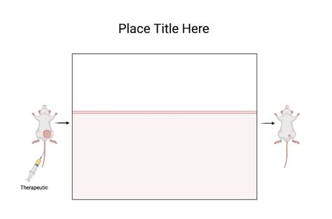 Tumor Shrinkage With Cell Membrane Callout Layout Biorender Science Templates