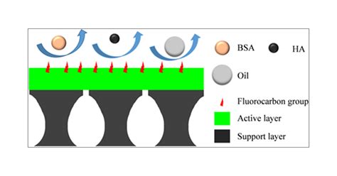 Preparation Of Antifouling Nanofiltration Membrane Via Interfacial