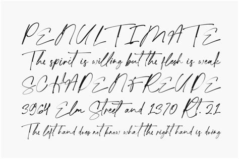 Ligatures Script Free Font 02 Fonts Shmonts