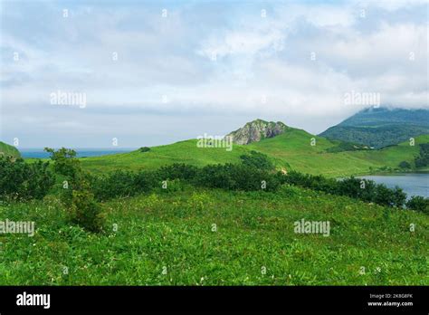 Natural Landscape Of Kunashir Island With Grassy Hills Volcanic Rocks