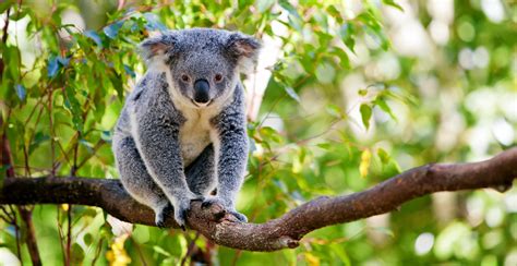 Authentic Australia Off The Beaten Path
