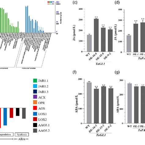 Rna Seq Analysis And Hormone Quantification A Gene Ontology Go
